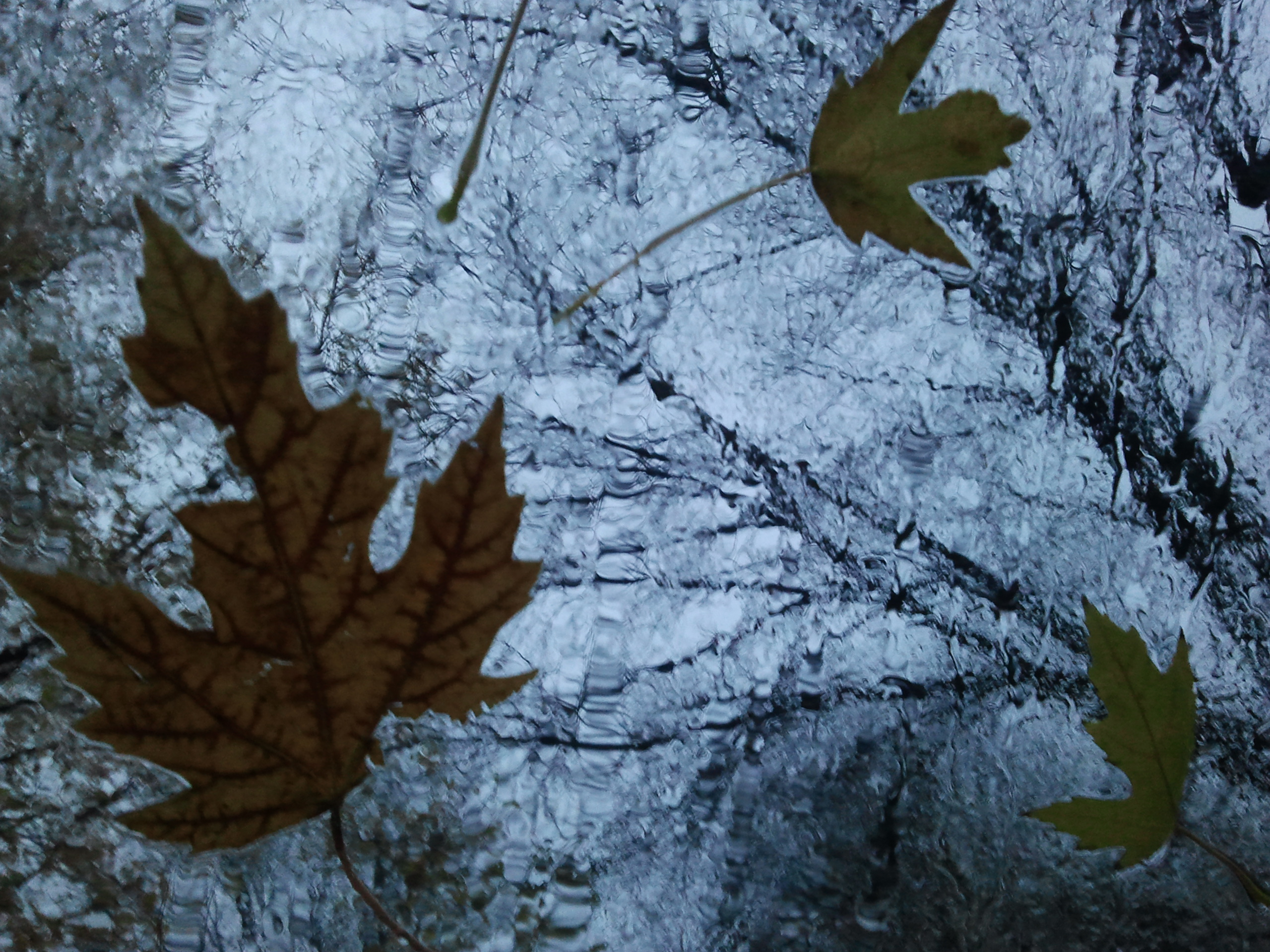 Photo gallery: Kansas in autumn, 2011 | News, Sports, Jobs - Lawrence ...